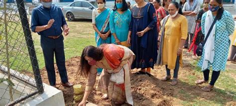 Nipa Patel On Linkedin On My 50th Birthday Inaugurated Water Harvesting Project At Gamdi…