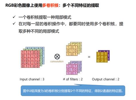 （八）深度学习 计算机视觉基础 Csdn博客