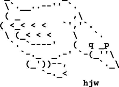 Duck Ascii Art