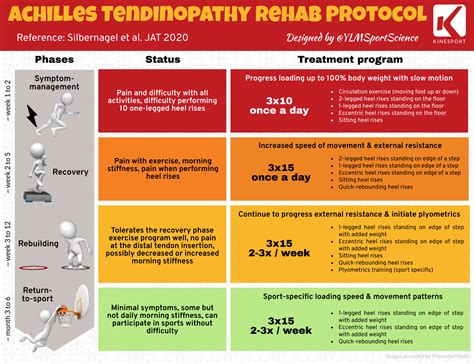 Achilles Tendon Loading Protocol Ylmsportscience