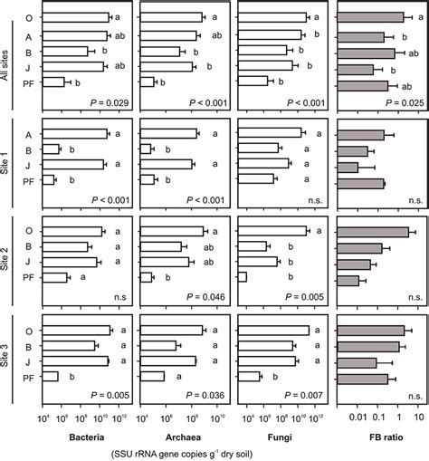 Abundances Of Bacteria Archaea And Fungi Shown As Bacterial Archaeal Download Scientific