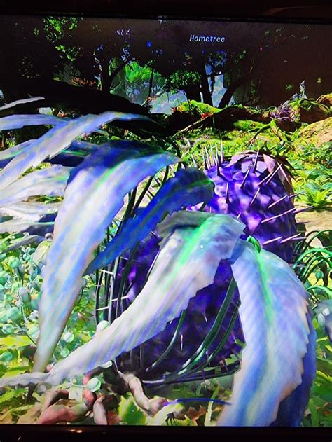 Textures Dont Load Properly Rpcmasterrace