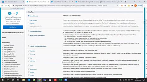 Salesforce Custom Object Fields Part 2 Sfdc Training Telugu Youtube