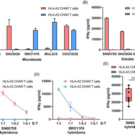specific lysis of hla‐specific hybridoma cells after incubation with