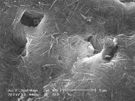 Sem Micrography Of A Hole Appearing In Attapulgite Structure After Acid Download Scientific