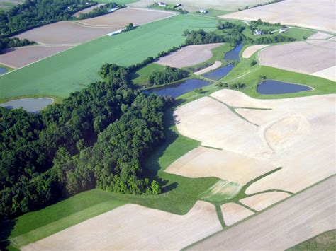 Riparian Buffers 2030 Palette