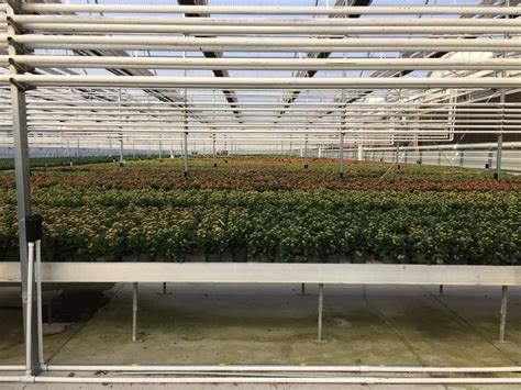 Teacher Activities New Mexico Agricultural Education And Ffa Association