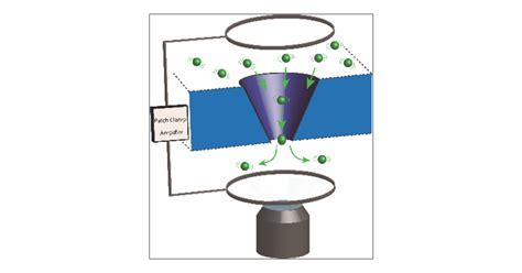On The Behavior Of Nanoparticles Beyond The Nanopore Interface Langmuir