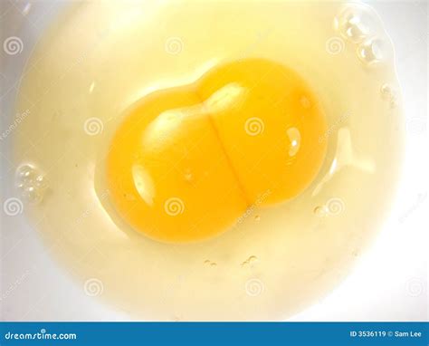 Identical Twins Egg White Yolk Stock Image Image Of Embryo Fertilization 3536119