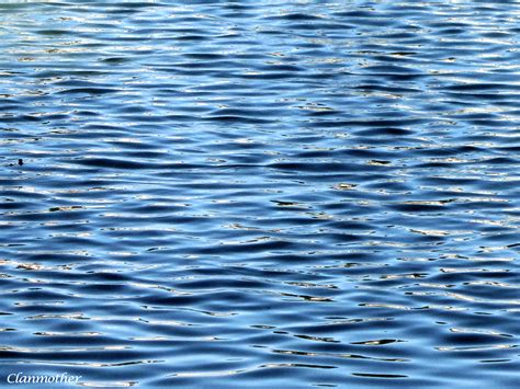 Websharethrivecapstoneimagesscenery And