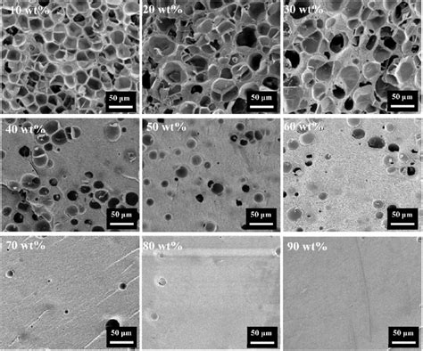 X SEM Images Of PMMA L At Various PMMA H Content Download Scientific Diagram