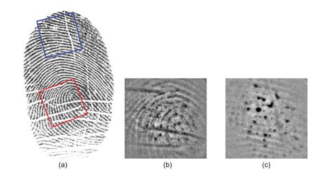 full fingerprint vs corresponding partial fingerprints a full