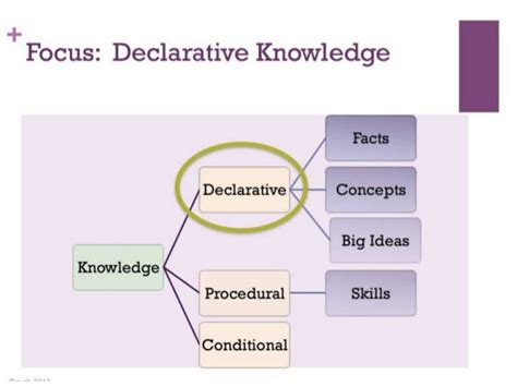 Universal Concepts