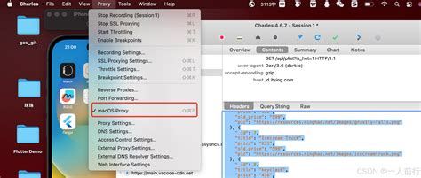 flutter 学习记录 ios 模拟器用charles抓包 flutter怎么抓包 csdn博客