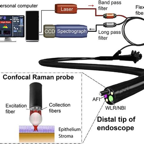 Pdf Advances In Real‐time Fiber‐optic Raman Spectroscopy For Early Cancer Diagnosis Pushing
