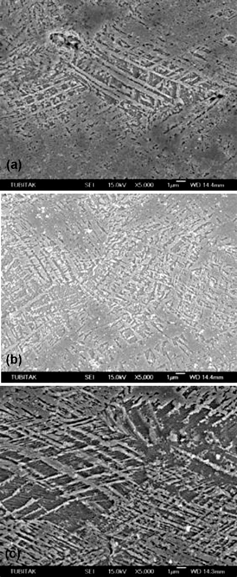 Microstructure Of The Twip Steel Necked Region After Applying The