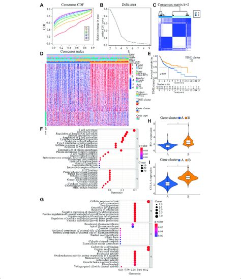 Identification Of Immunogenic Gene Subtypes A Cumulative