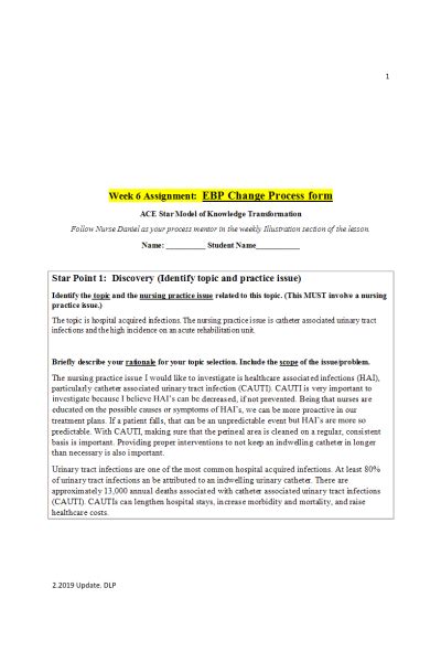 NR 451 Week 6 Assignment EBP Change Process Form Topic Hospital