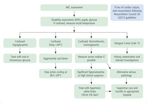 Journal Of Paramedic Practice Assessment And Initial Management Of