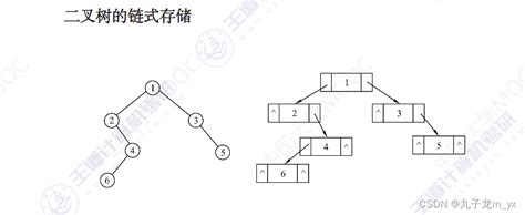 数据结构 二叉树（包含二叉树的层次建树、前中后序遍历、层次遍历解析及代码） 二叉树建树 csdn博客
