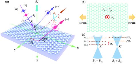 Beam Propagation Model Of Strained Graphene Substrate System Under Download Scientific Diagram