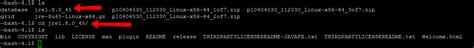 Display Variable Set Java Exception Errors Oracle Forums