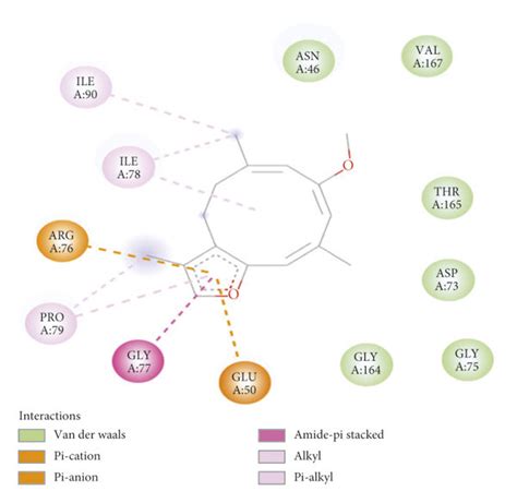 Molecular Docking And Interaction Between Dna Gyrase B And Control