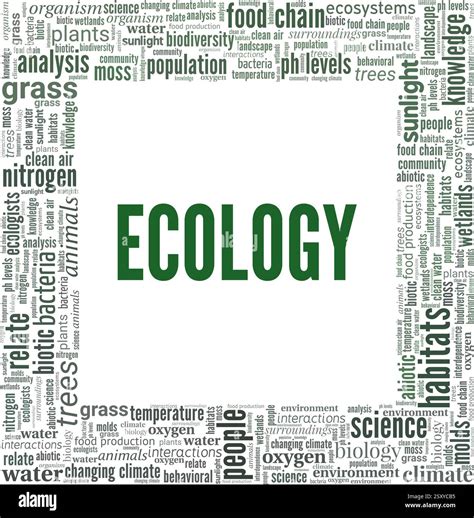 Ecology Vector Illustration Word Cloud Isolated On A White Background Stock Vector Image And Art