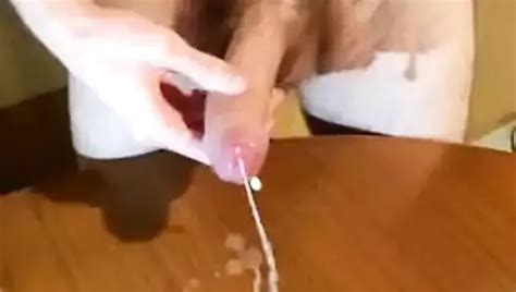 Absolutenutzone Gay Porn Videos Sex Model Nudes Xhamster