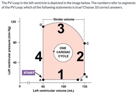Solved The Pv Loop In The Left Ventricle Is Depicted In The