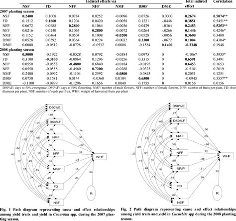 Path Analysis Showing Direct Diagonal In Bold And Indirect
