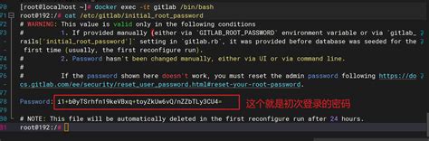 手把手教你docker安装、在docker中安装gitlab详细教程 docker安装gitlab csdn博客