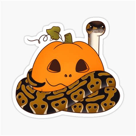 Normal Ball Python Halloween Theme Ball Python And Pumpkin Ii