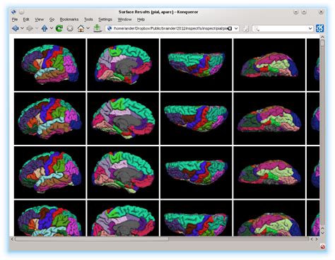 Quickly Inspect Freesurfer Cortical Surfaces Brainder