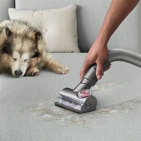 Dyson Animal