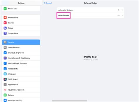 How To Install IPadOS Developer Beta On Your IPad