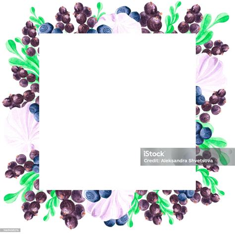 블루베리 그린 잎 마시멜로 딸기와 검은 건포도가 있는 손으로 그린 수채화 배너 스크랩북 엽서 배너 Lable 0명에 대한 스톡 벡터 아트 및 기타 이미지 Istock