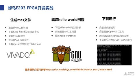 蜂鸟e203开发实战nuclei Rv大学计划risc V Mcu中文社区