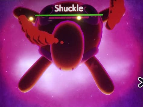 Shuckle Is Sick Of All The Memes Saying That Its Weak 7 Shield Bars