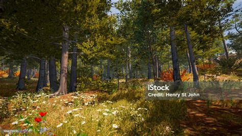 지속 가능한 개발 목표 및 생태계 보호를 설명하는 풍경 몰입형 자연 환경 3d 렌더링 0명에 대한 스톡 사진 및 기타 이미지 0명 가상현실 메타버스 Istock