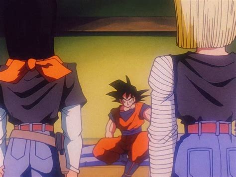 How Did Goku Hallucinate Androids 17and18 Were He Has Not Met Them Yet Or