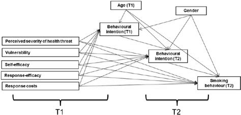Graphical Representation Of The Estimated Path Analysis Model Notes Download Scientific