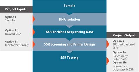 development of ssr s ecogenics gmbh