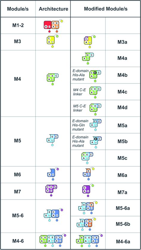 Of The Modules And Their Domain Composition In The Teicoplanin Nrps Download Scientific Diagram