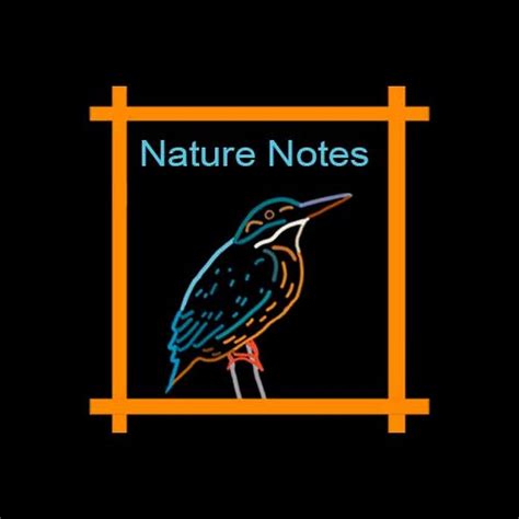 Nature Notes Naturenotesbd Tumblr Blog Tumlook