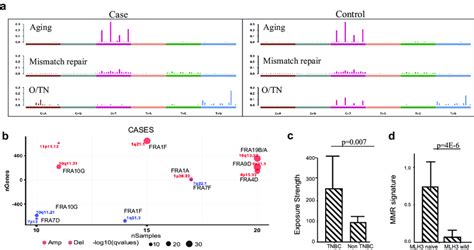 Mutational Processes And Somatic Copy Number Variation Cnv Identified