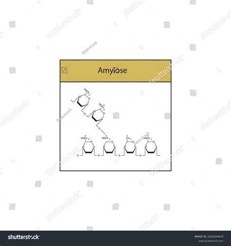 Glycogen Skeletal Structure Diagrampolysaccharide Compound Molecule Stock Vector Royalty Free