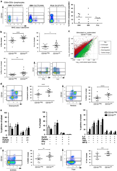 Cd161intcd8 T Cells Are Polyfunctional Antiviral Cells A