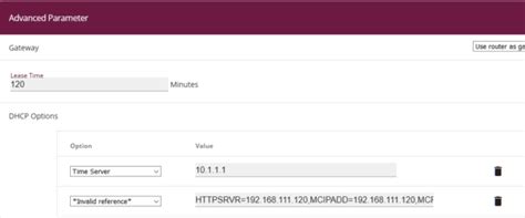 Bintec Dhcp Option 242 For Avaya Ip Phones Blog Florian Wilke