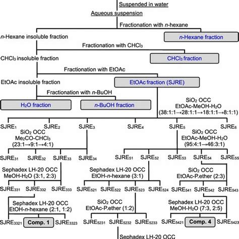 Isolation And Purification Procedures Download Scientific Diagram